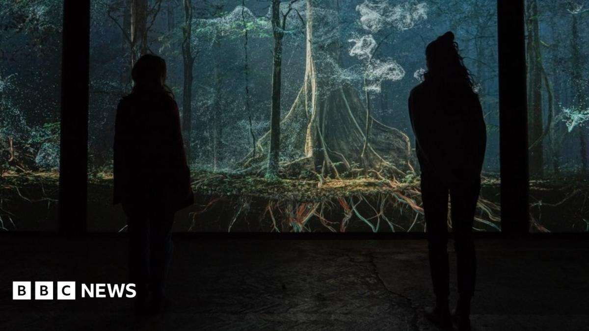 Art: Immersive nature exhibition opens in Oxo Tower - BBC News
