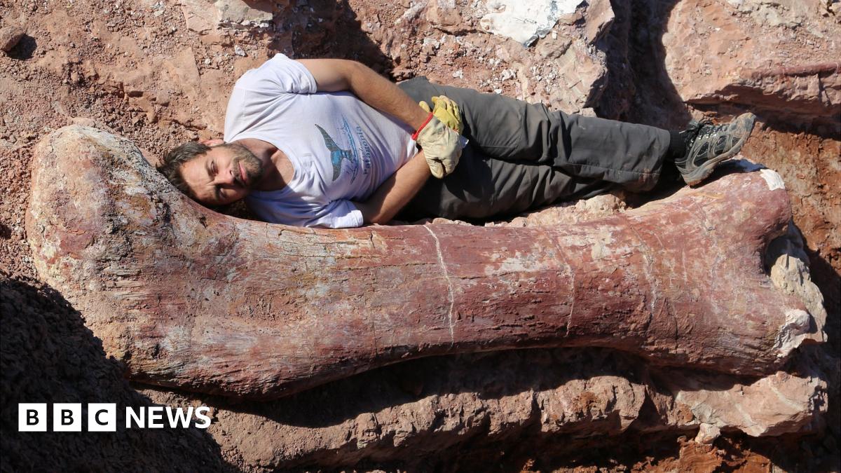 'Biggest dinosaur ever' discovered - BBC News