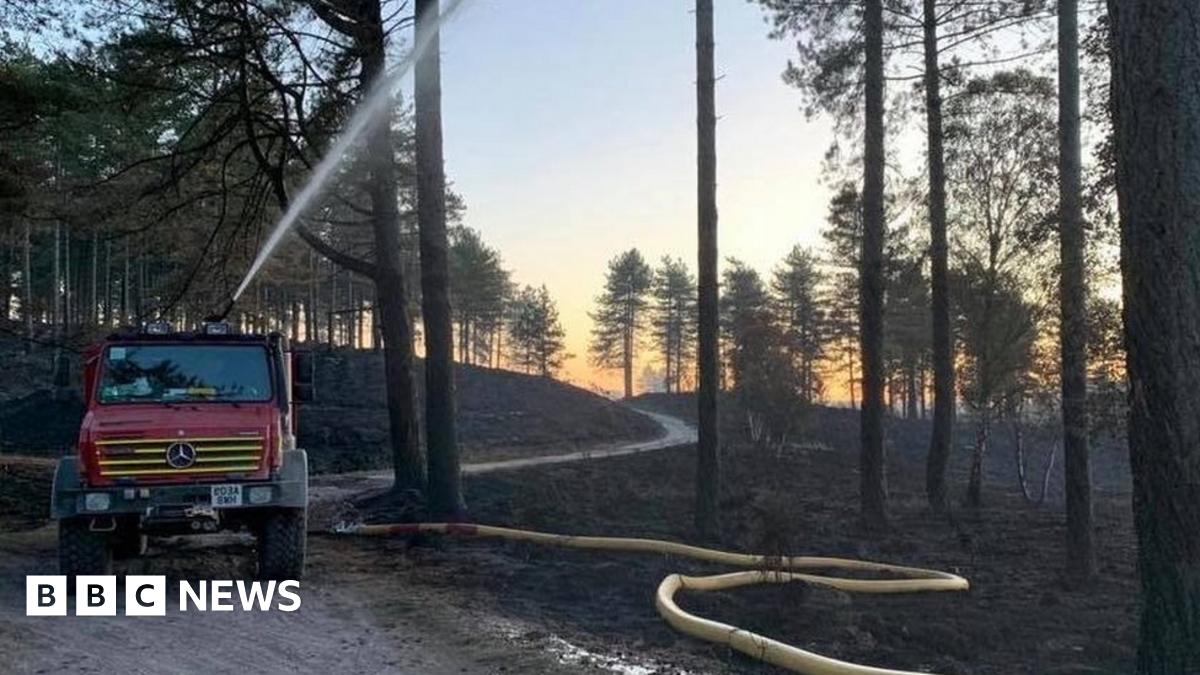 Wareham Forest fire crews 'stretched' at blaze site - BBC News