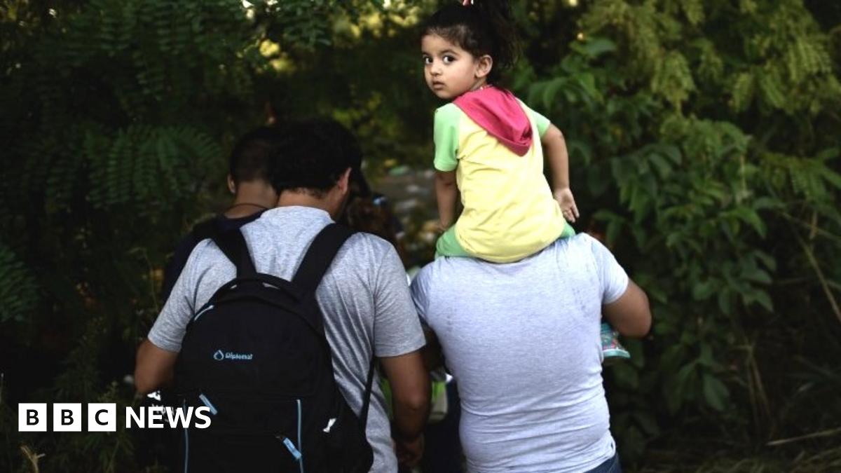 Migrant crisis: Why Syrians do not flee to Gulf states - BBC News