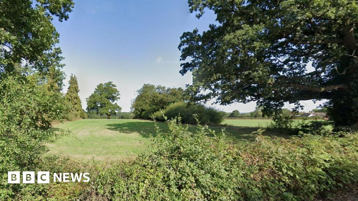 Horley: Plans for over 400 new homes approved after appeal - BBC News