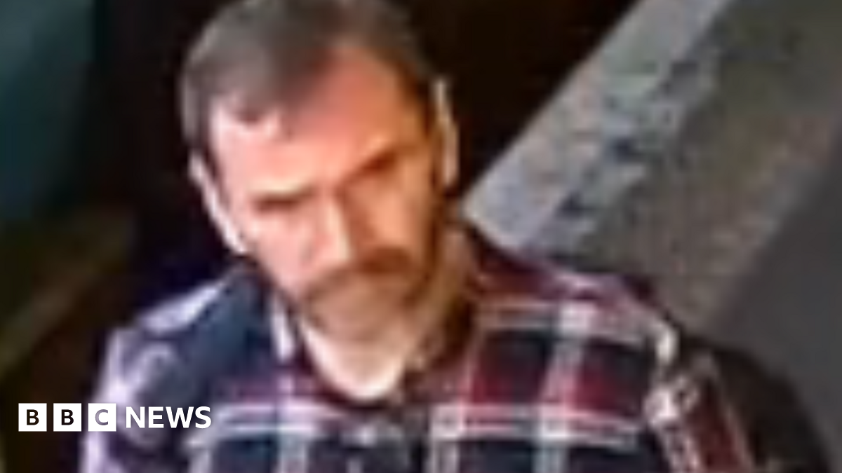 Kent: Police appeal after woman attacked by dog on a train - BBC News