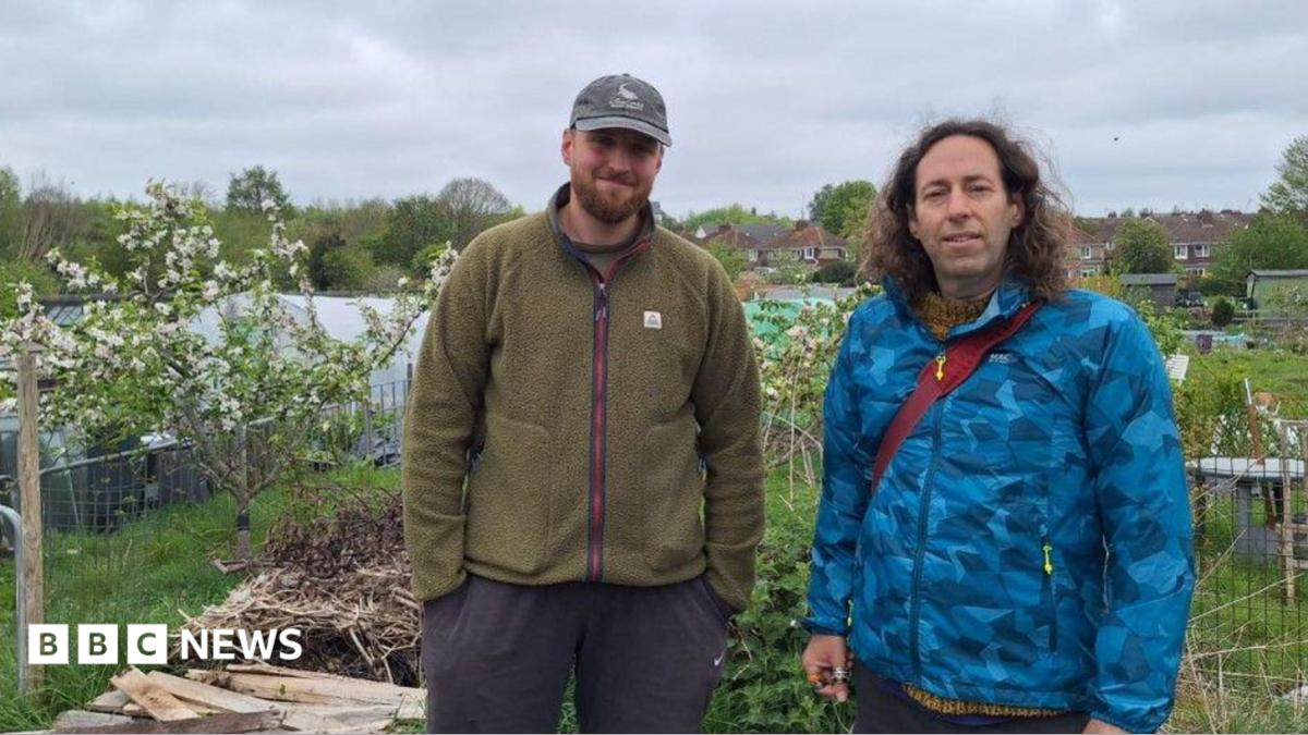 Swindon receives 50,000 newly-planted trees in five years - BBC News