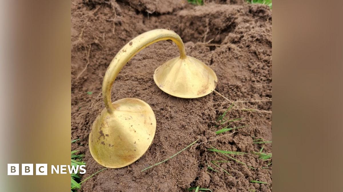 Potteries Museum seeks £150k to buy Bronze Age dress fastener - BBC News