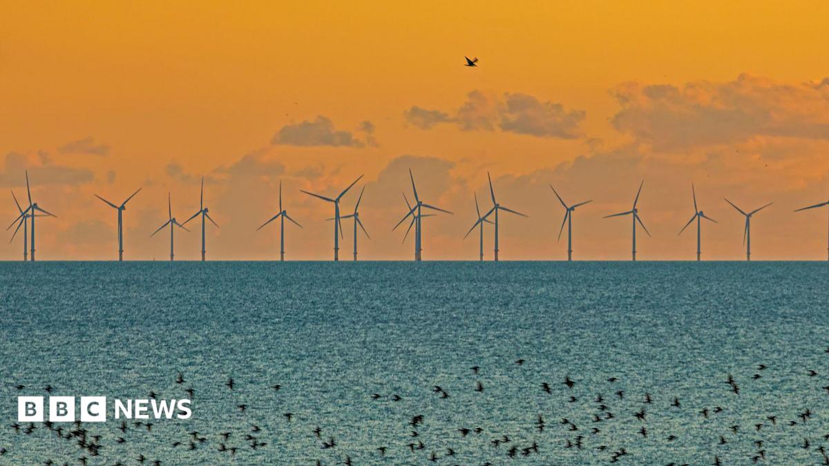 Wind turbines power 'surprising' tourism boom - BBC News