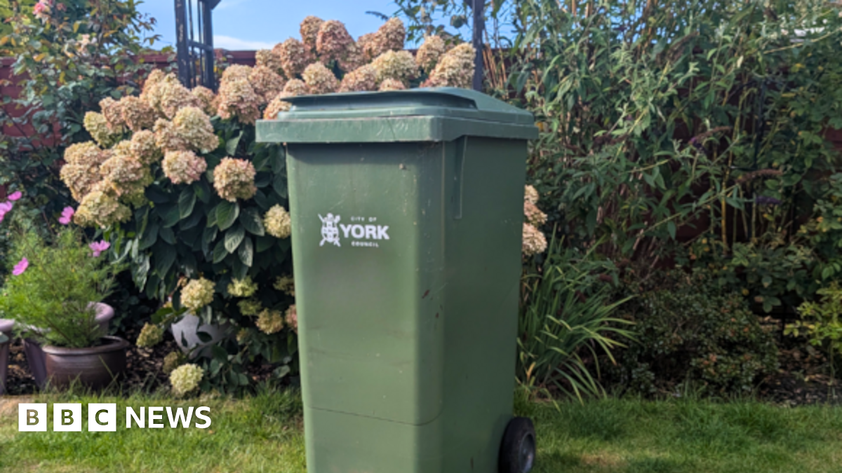 Plans to increase fee for York green bin collections - BBC News