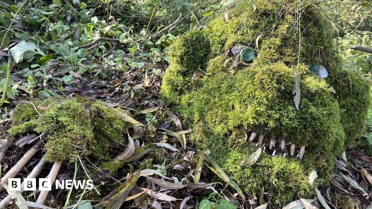 Beasts of the bog unearthed for folklore trail - BBC News
