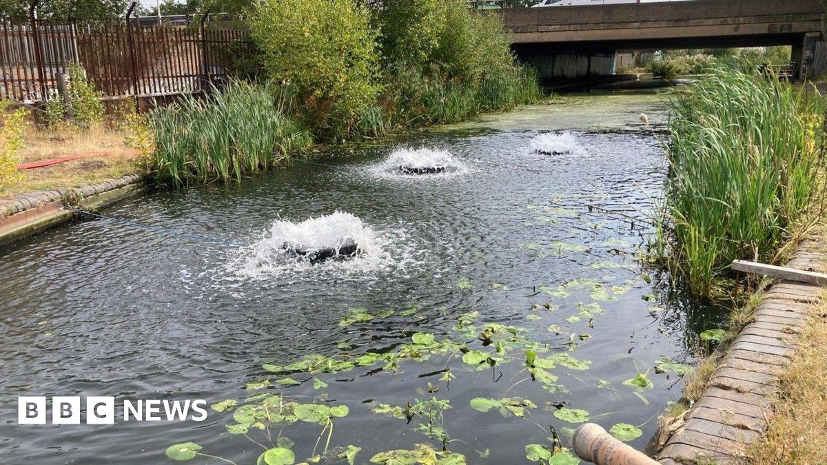 Cyanide levels in Walsall canal improve following toxic spill - BBC News