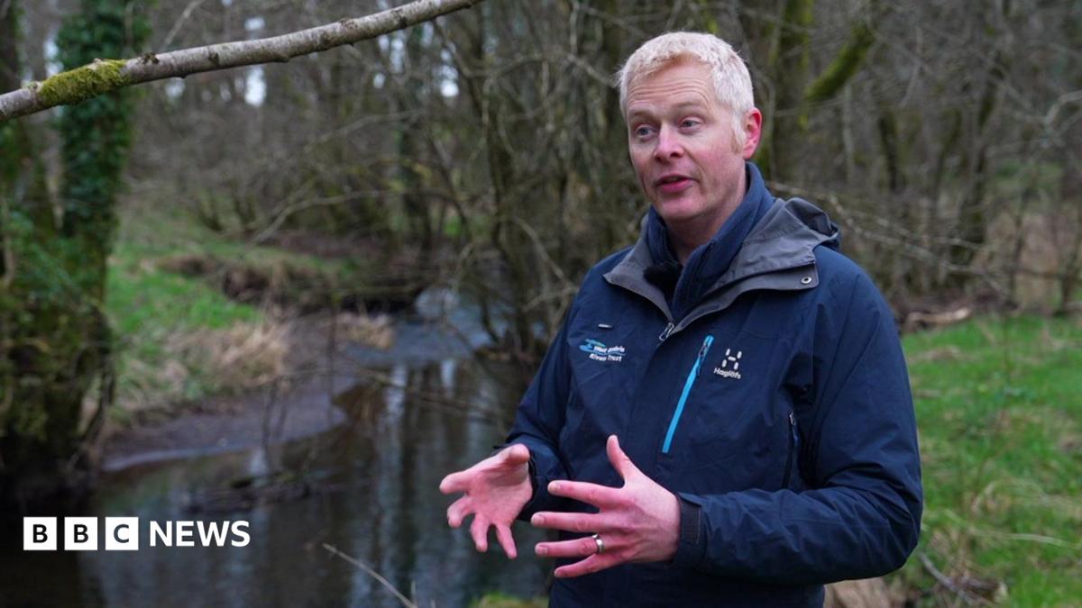 Fears over river restoration funding delays - BBC News
