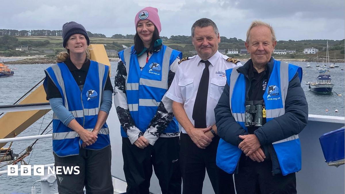 Isles of Scilly ferry route named UK's best for wildlife spotting - BBC ...