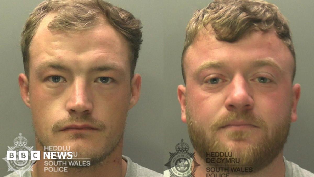 Somerset men jailed for murder of young father in Swansea brawl - BBC News