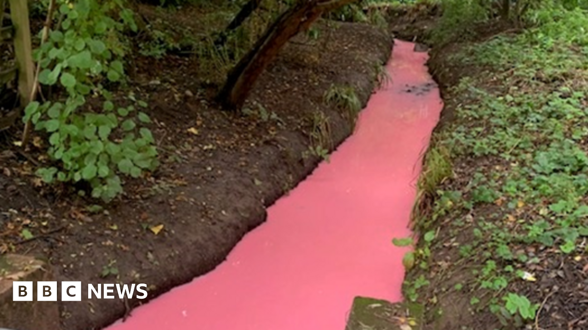 Pink stream in Tiverton caused by binned paint - BBC News