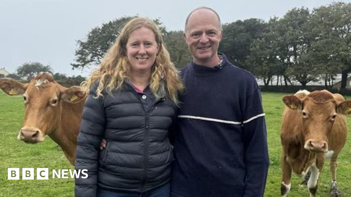 Sark searches for new dairy farmers as tenants return to UK - BBC News