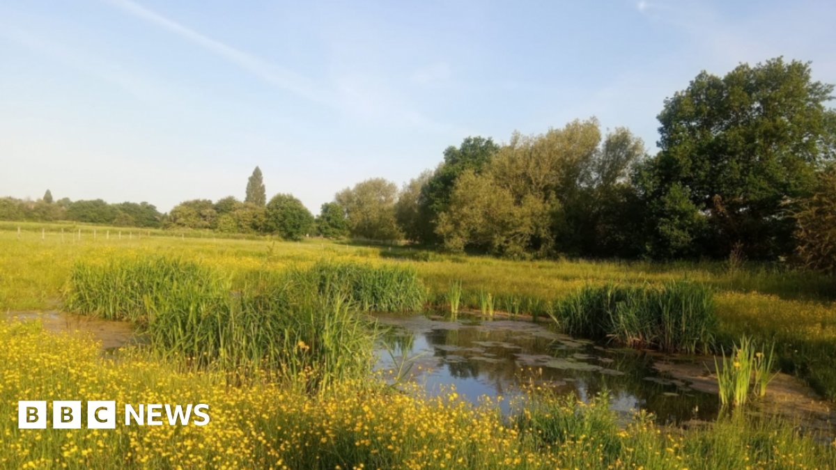 New ponds set for Lake View Park in Coventry river revival scheme - BBC ...