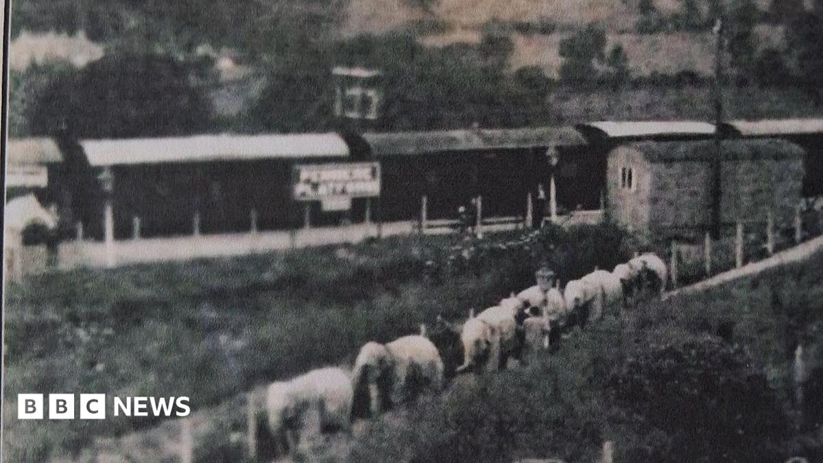 Cornwall train station celebrates 100th birthday - BBC News