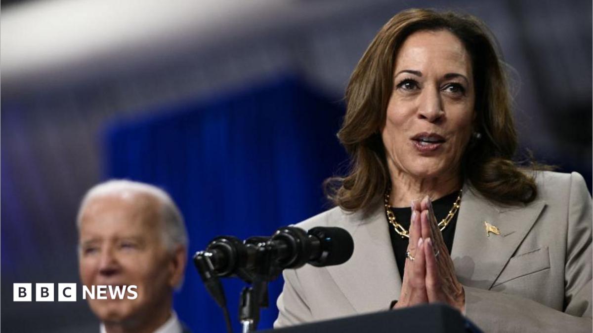 Kamala Harris's economy plan: new housing and end to price-gouging ...