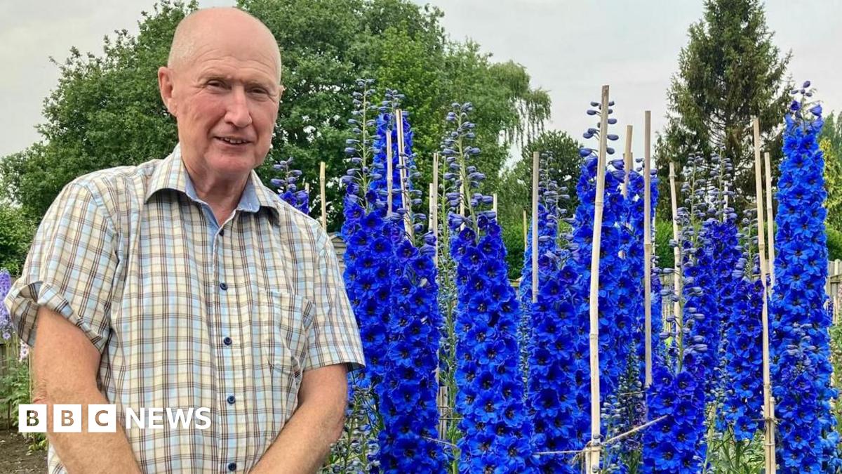 Anabgo onlyfans discovered a new Asian girl on the website