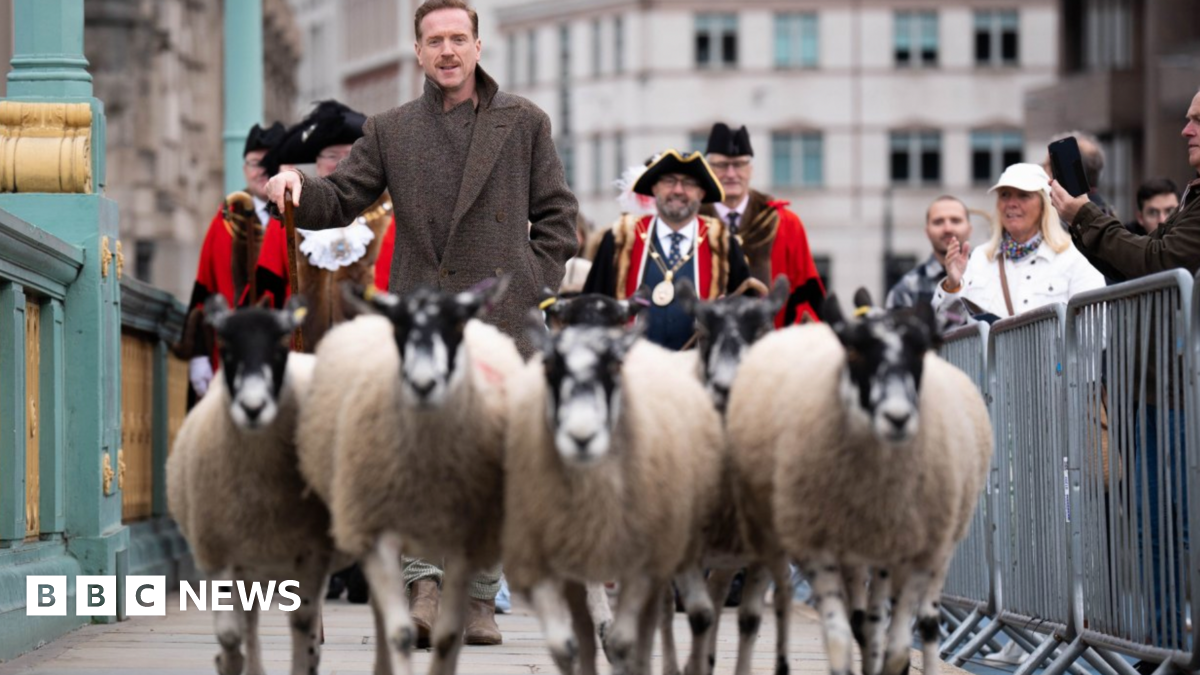 Damian Lewis shepherds sheep over London bridge - BBC News