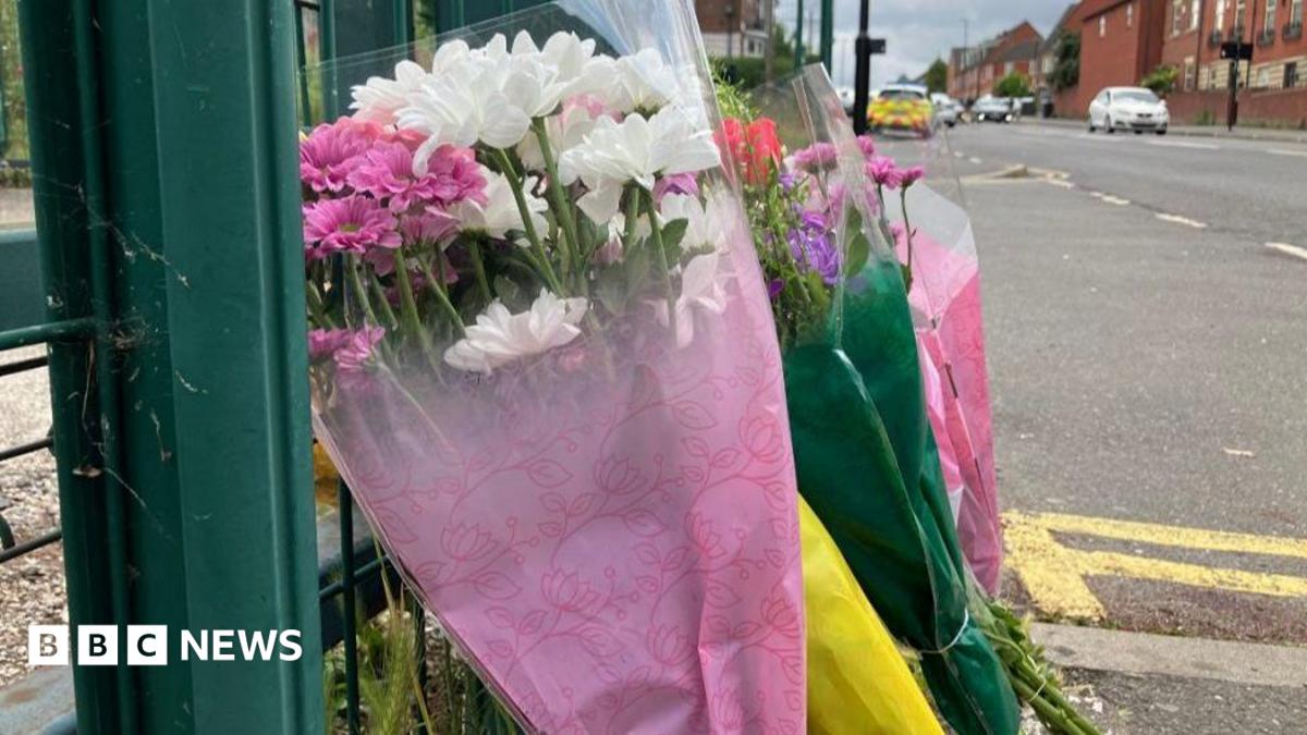 Murder arrest after boy, 16, dies in Sheffield crash - BBC News