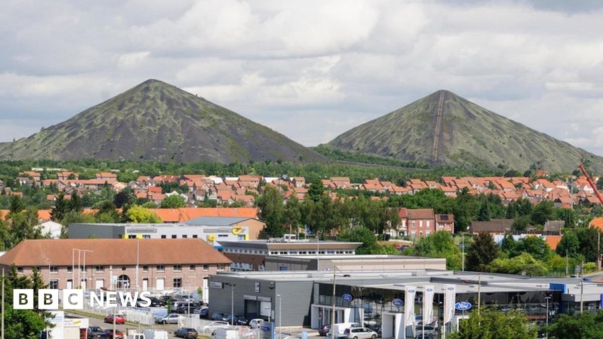 Making a vineyard out of a slag heap - BBC News