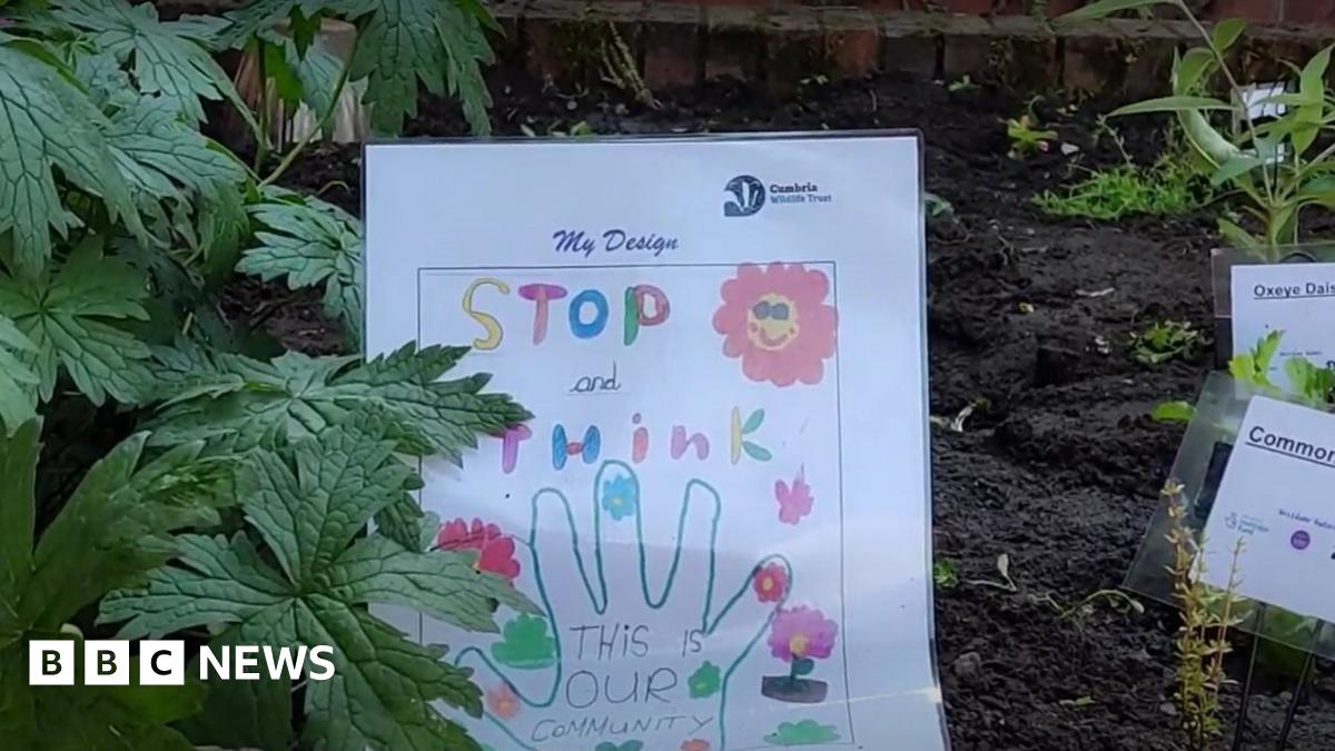 Neglected community planter transformed by Carlisle school - BBC News