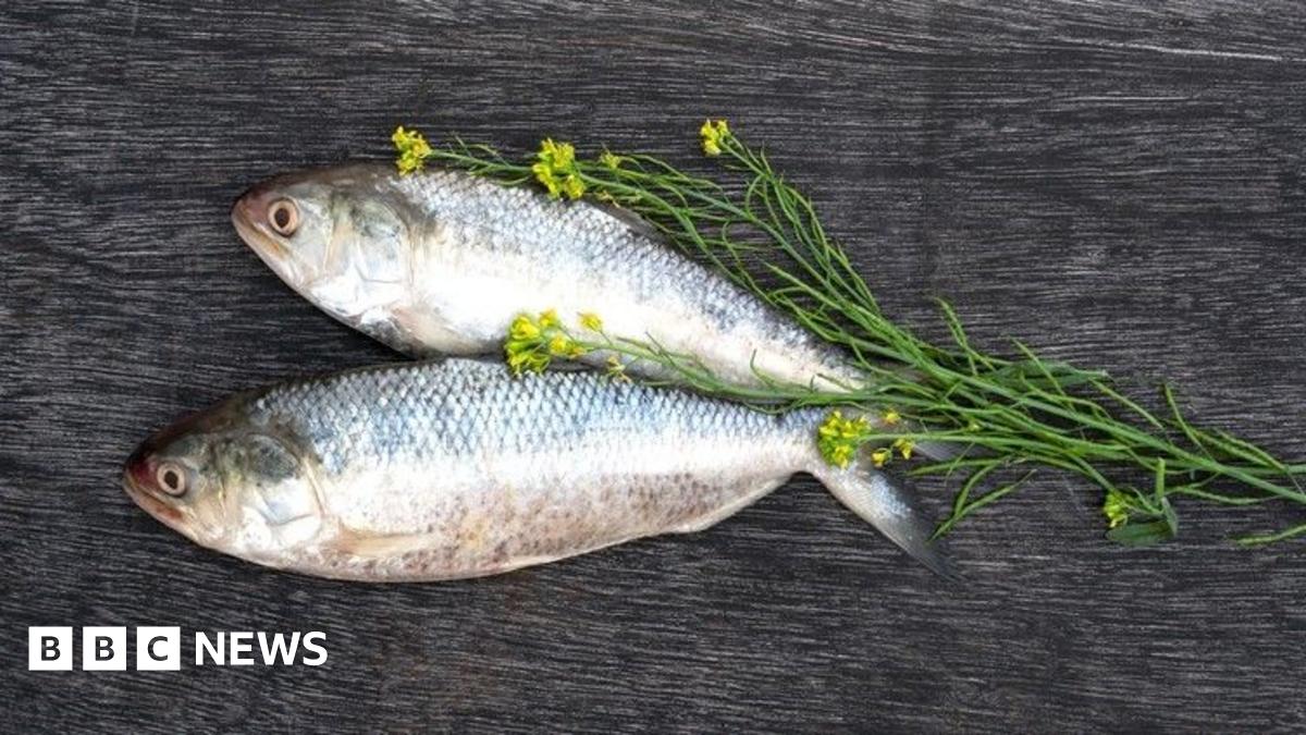 Hilsa: The end of fish diplomacy between India and Bangladesh? - BBC News