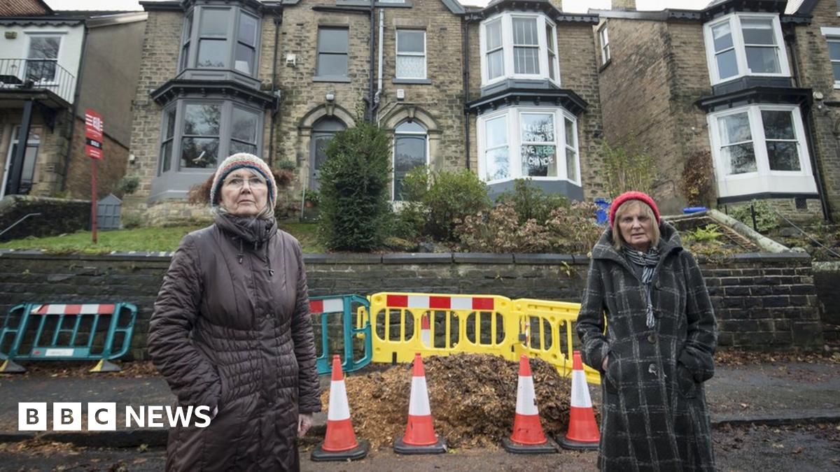 Two Sheffield women charged over tree felling protest - BBC News