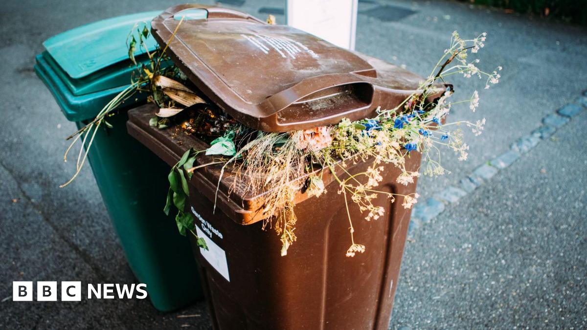 Armagh, Banbridge and Craigavon bin collections to resume - BBC News