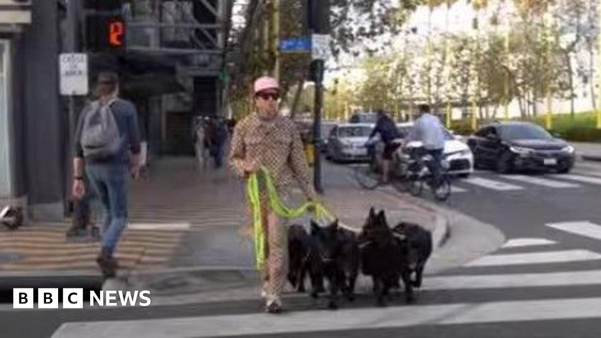 RSPCA concern over Birmingham visit for US dog trainer The Dog Daddy ...