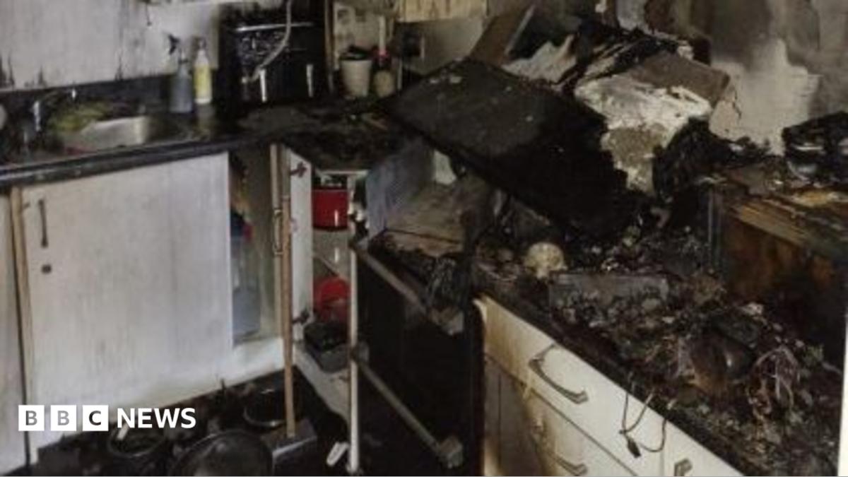 Fleet fire: Beloved family pets rescued from flat blaze - BBC News