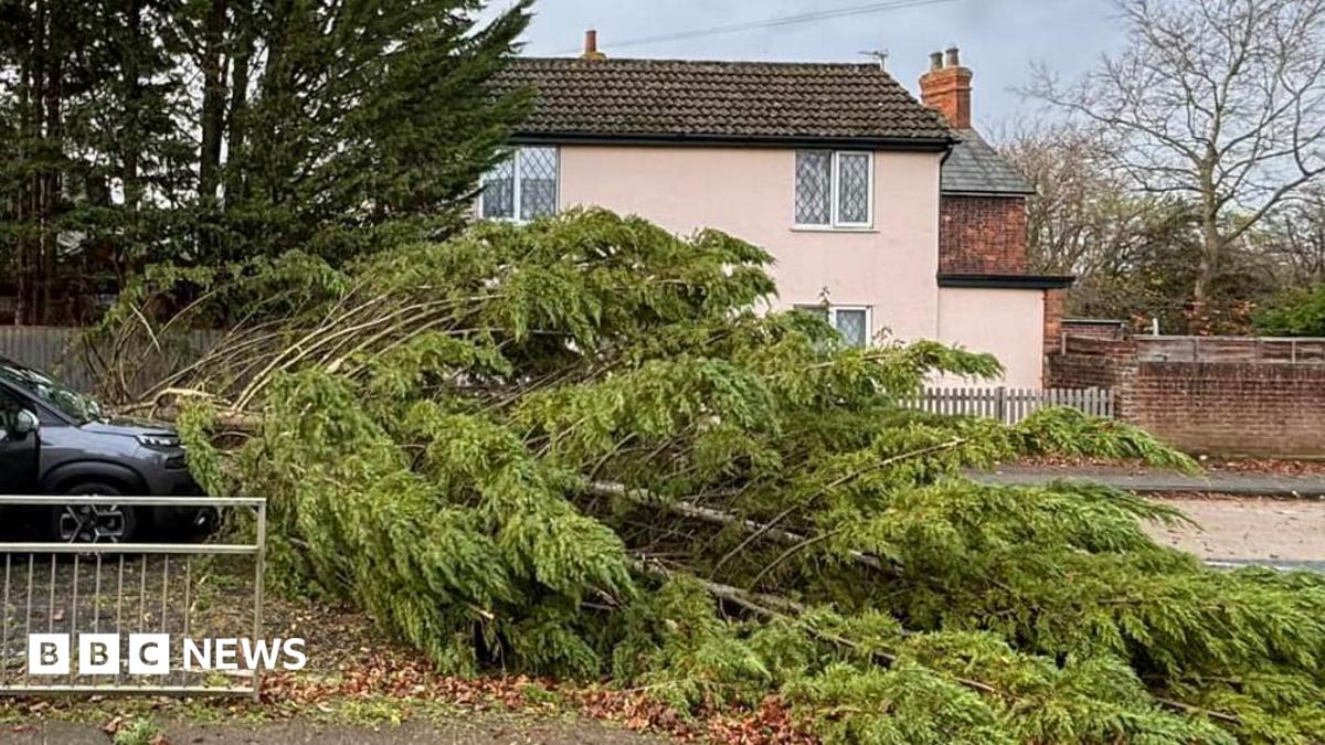Part of A6 shut after Storm Bert causes large tree to fall on car - BBC ...