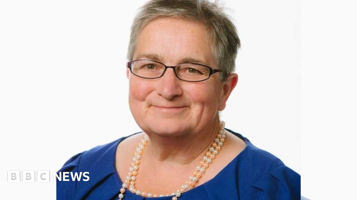 New lord mayor appointed in Hull - BBC News