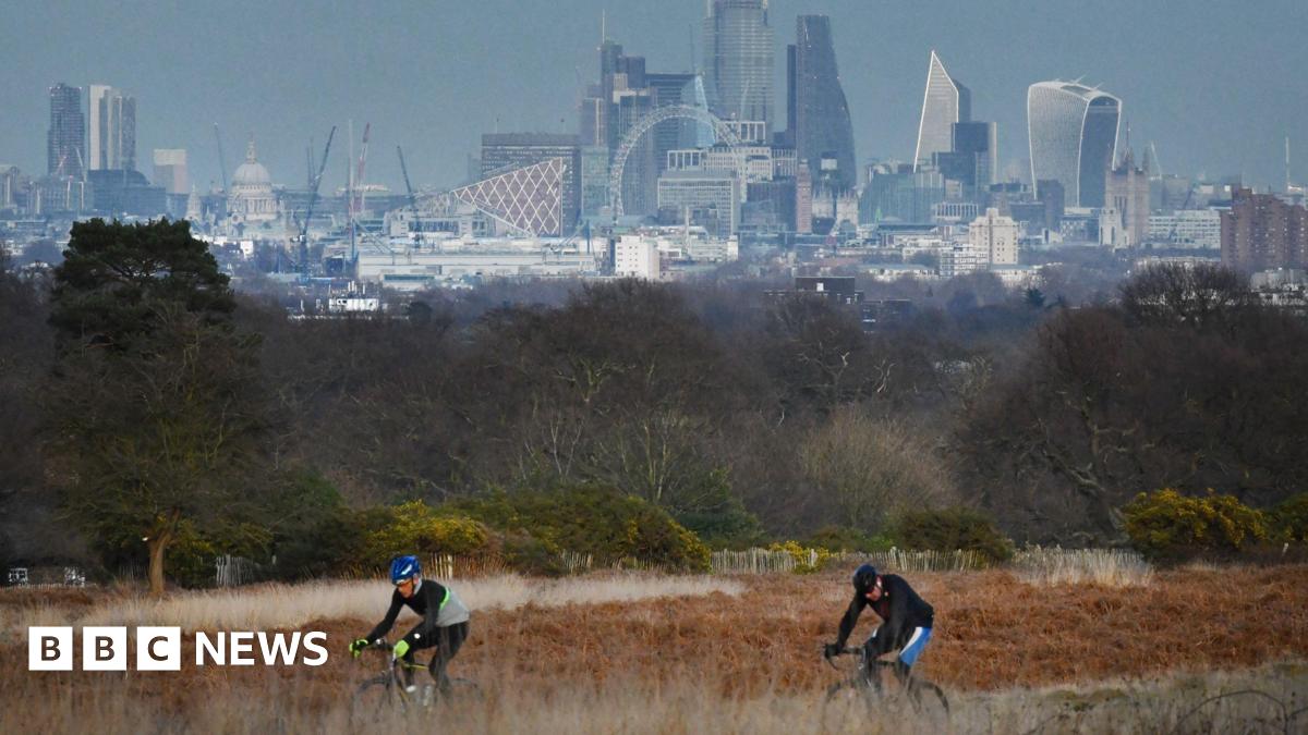 Royal Parks police unit could be cut to meet Met budget - BBC News