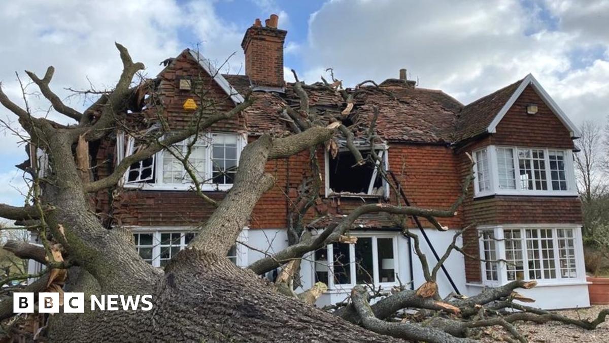 Storm Eunice: Huge 400-year-old oak tree falls on to house - BBC News