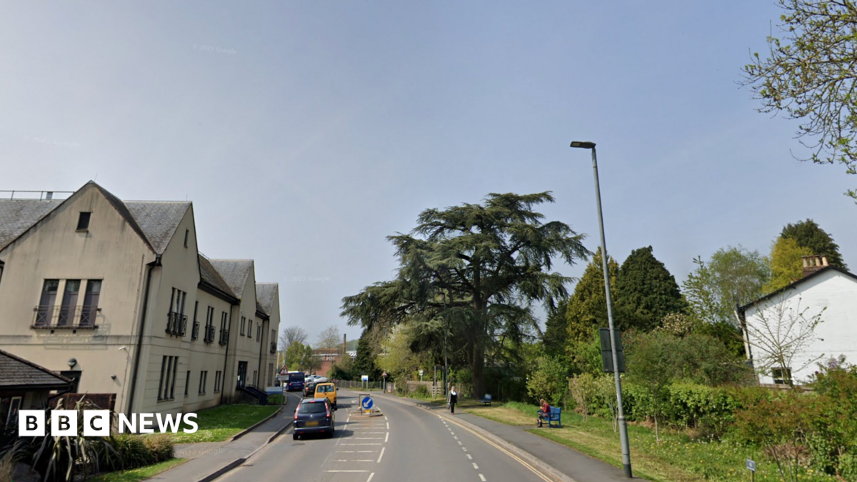 Totnes crash: Police seek woman who helped hurt pedestrian - BBC News