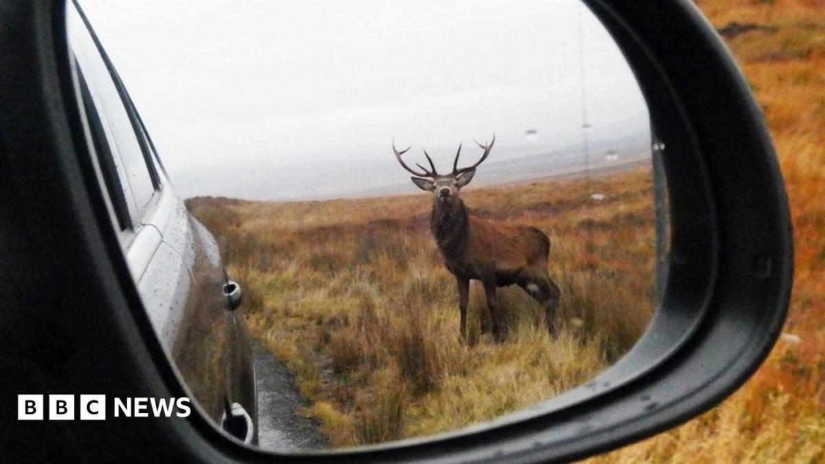 Your pictures of Scotland 13 - 20 November - BBC News