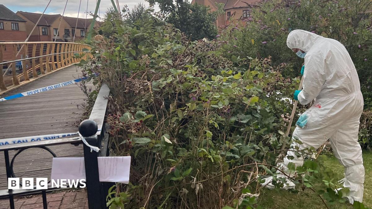Second murder arrest in Northampton after victim found on bench - BBC News