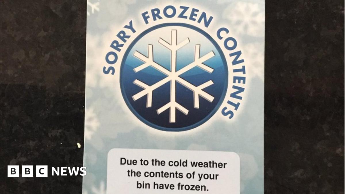 North Hertfordshire refuse collectors give 'frozen' bin cold shoulder ...
