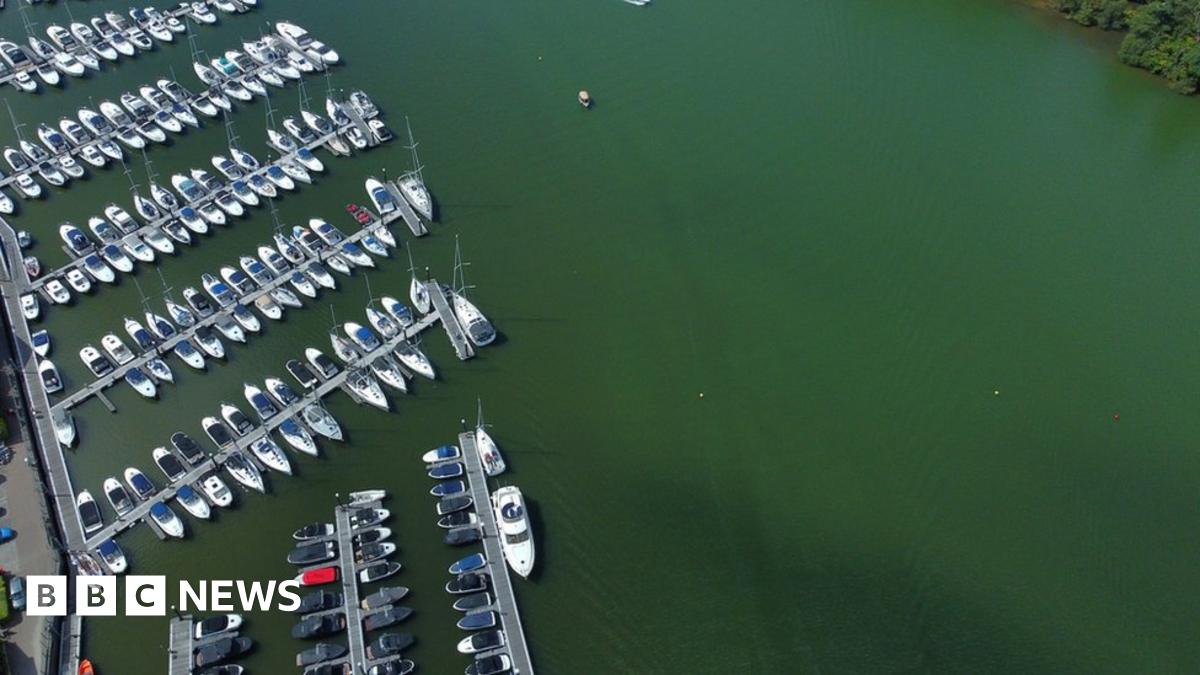 Windermere: Algae warning over fish deaths at lake - BBC News