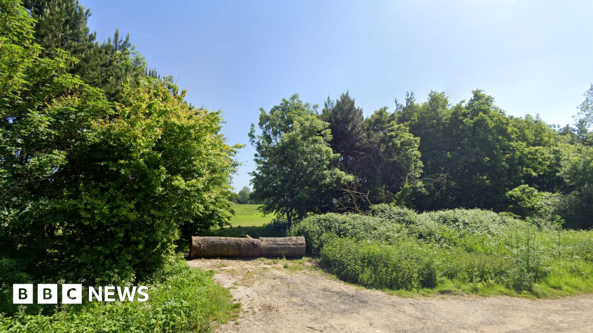 Swallowfield: New 81-home application gets go-ahead - BBC News