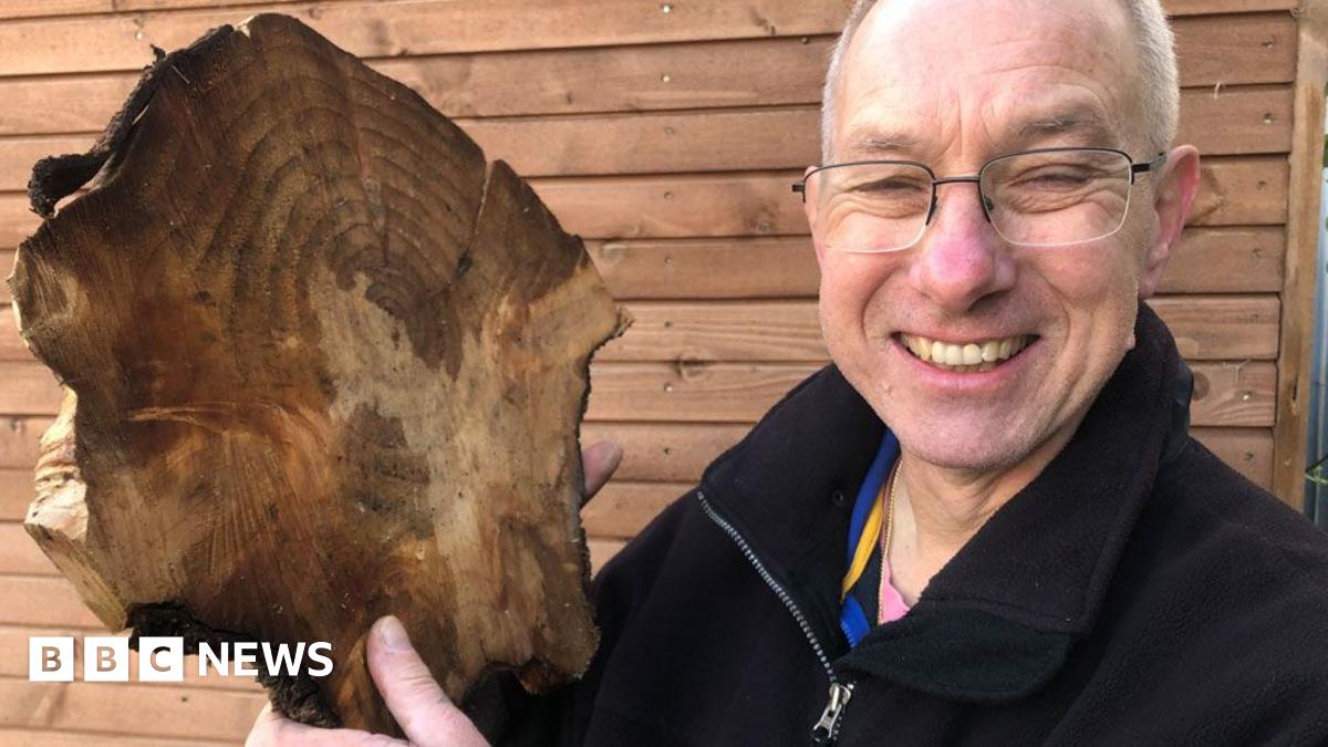 What became of March's 2023 wonky Christmas tree? - BBC News