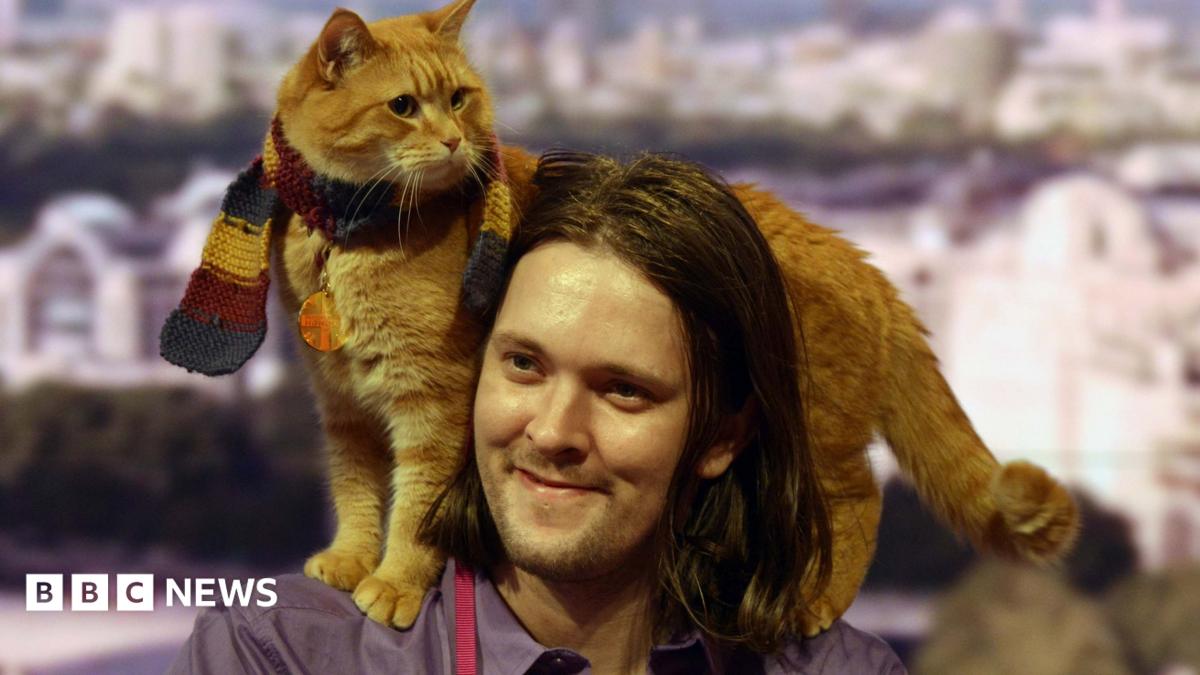 A Street Cat Named Bob set for big screen - BBC News