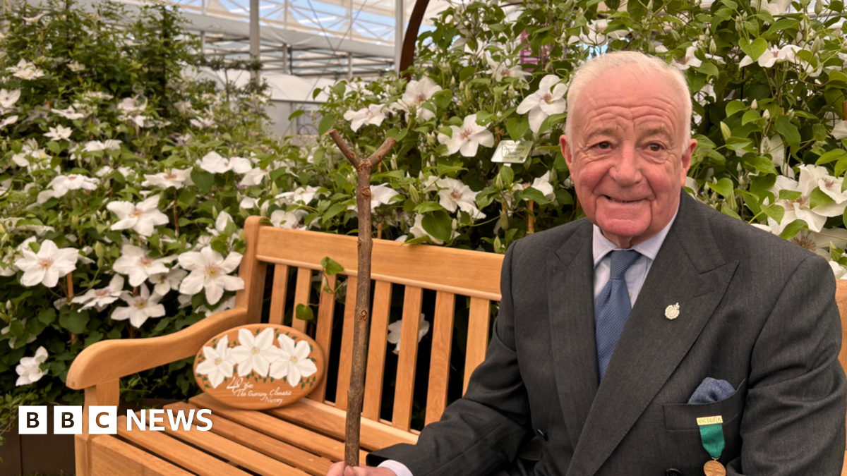 Guernsey flower grower scoops 34th gold medal at Chelsea - BBC News