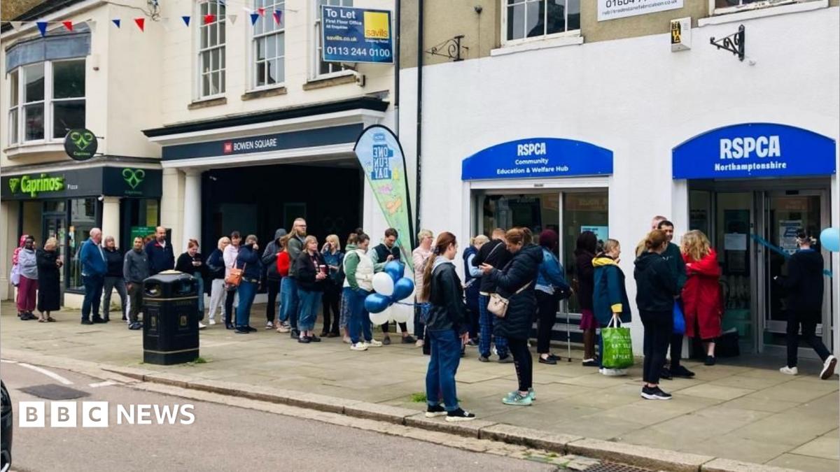 Hundreds visit Daventry animal charity shop on first day - BBC News