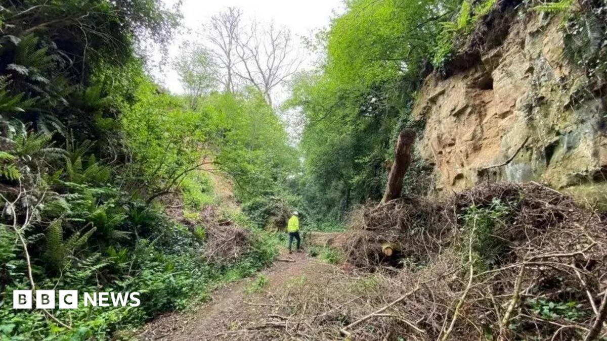 Chinnock Hollow: No money left to repair road closed by landslide - BBC ...