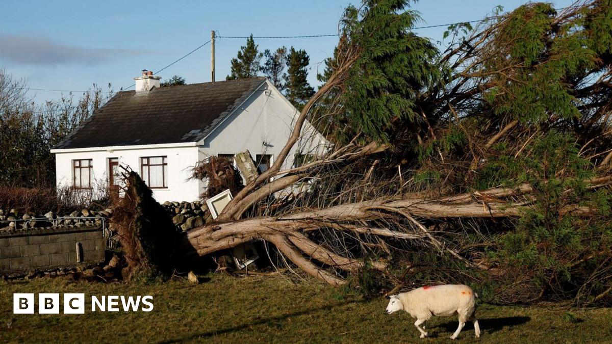 Storm Éowyn: Record breaking winds in the Republic of Ireland - BBC News
