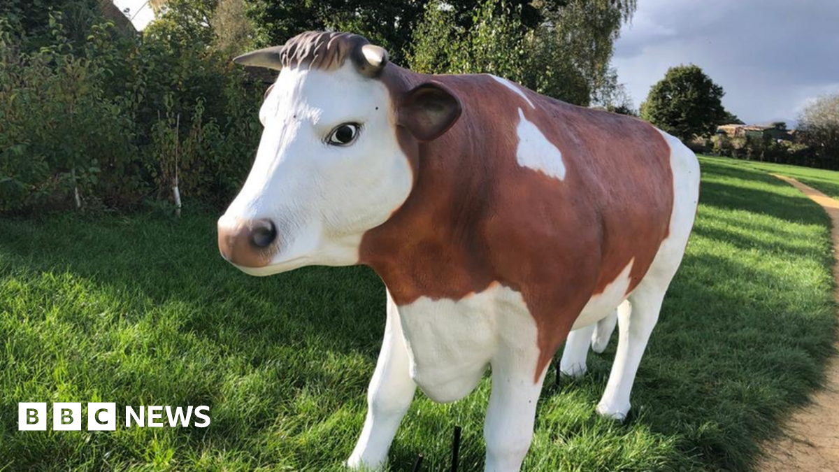 Joy for Fernhill Heath residents as model bull 'moo-ves' in - BBC News
