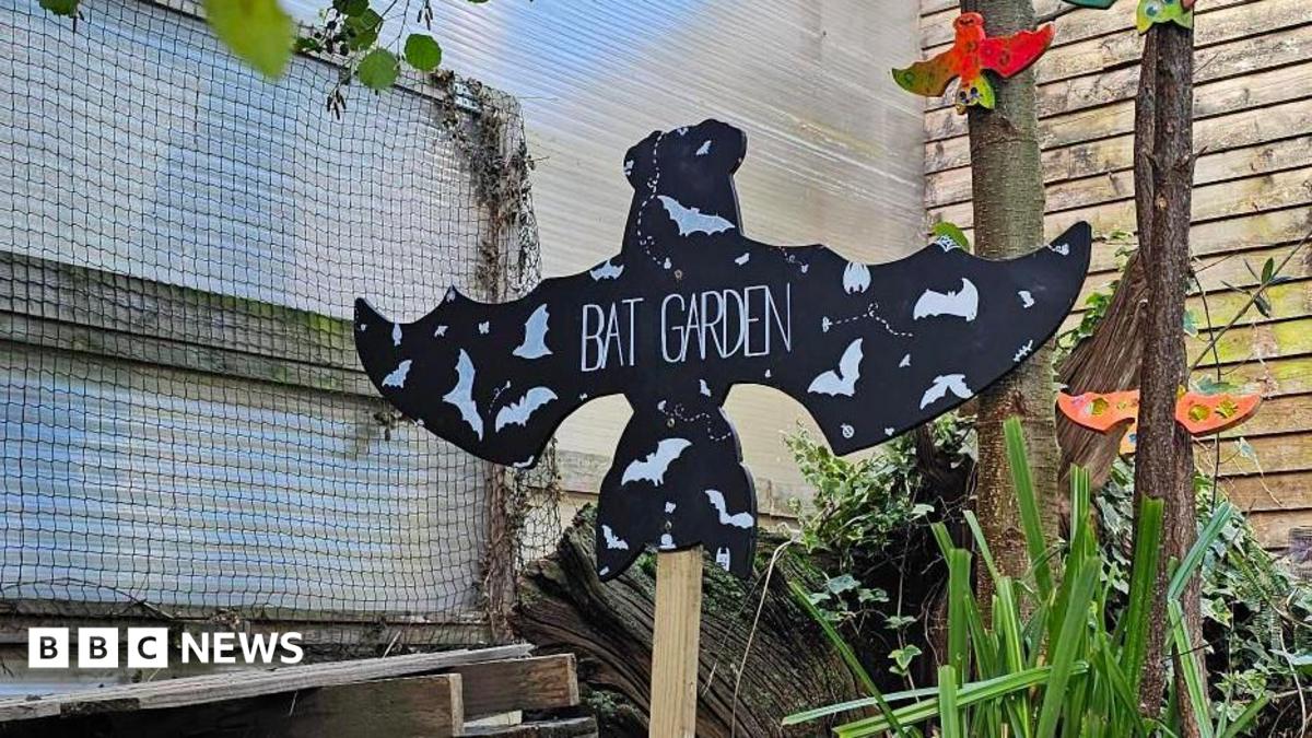 Jersey Zoo creates bat-friendly garden - BBC News