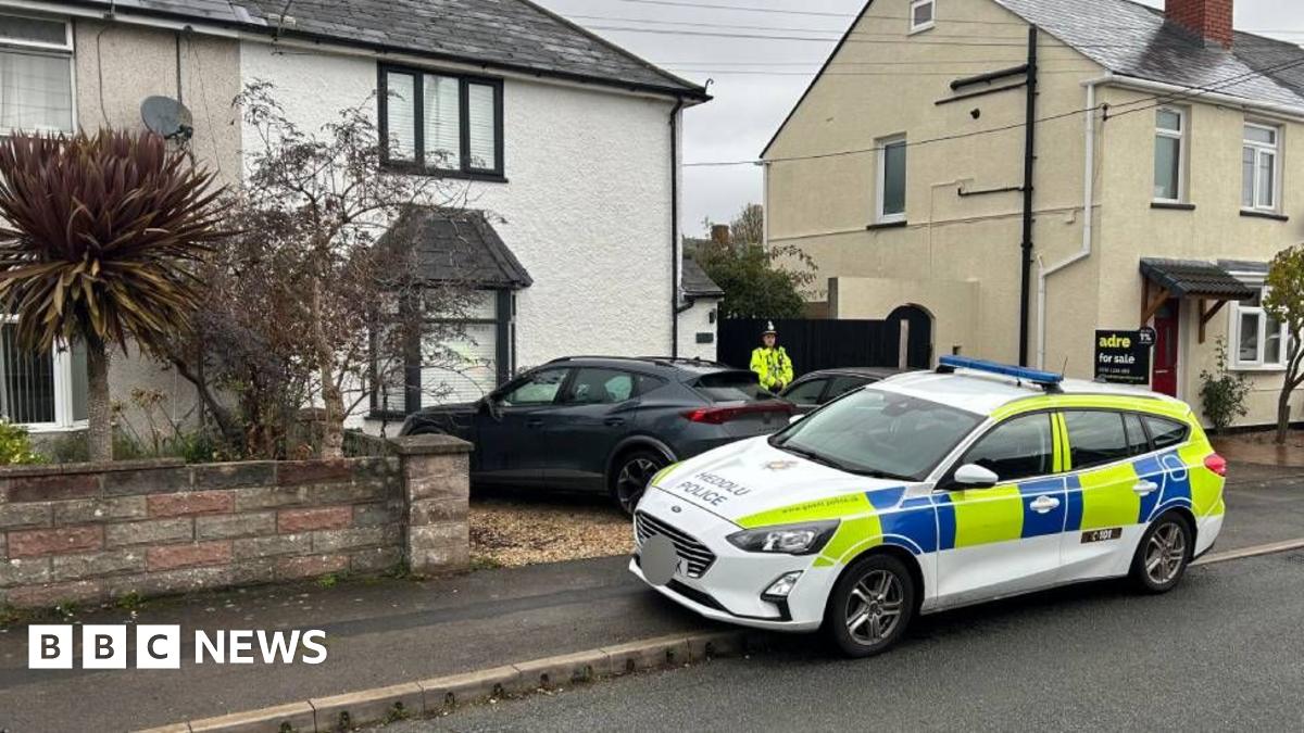 Rogiet fatal XL bully dog attack investigation sees two further arrests ...