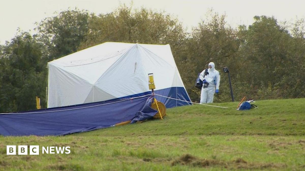 Swindon murder: Man stabbed to death in field - BBC News